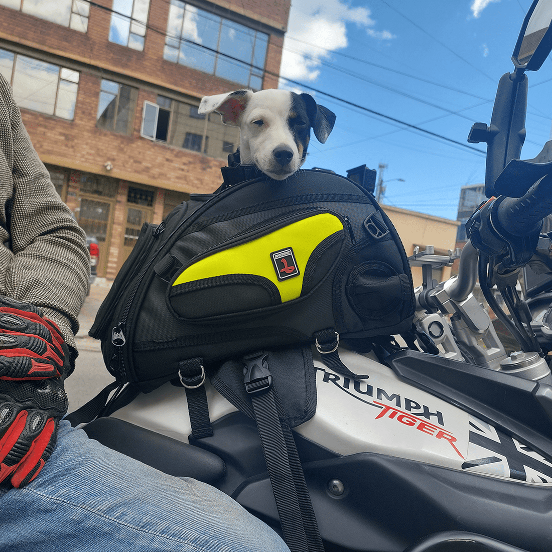 PetBag para Motos – Masterbag Latam